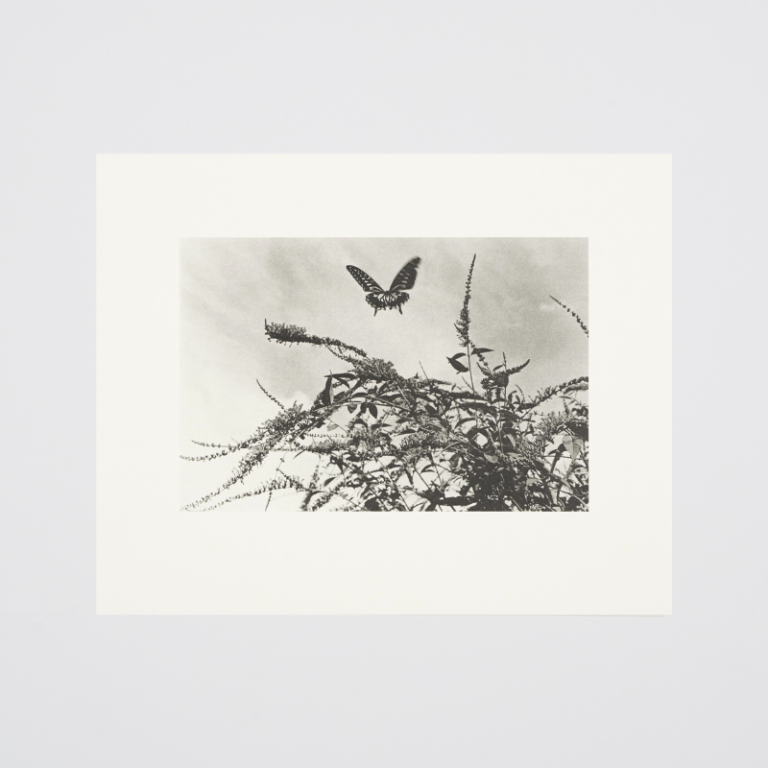 Benrido Store — Collotype prints and limited edition portfolios and ...